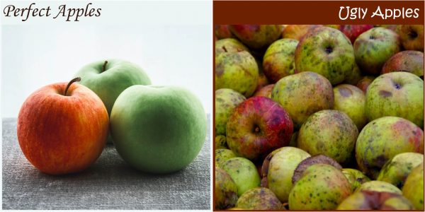 6 Ways to Reduce Food Waste - Crickler Vending Company